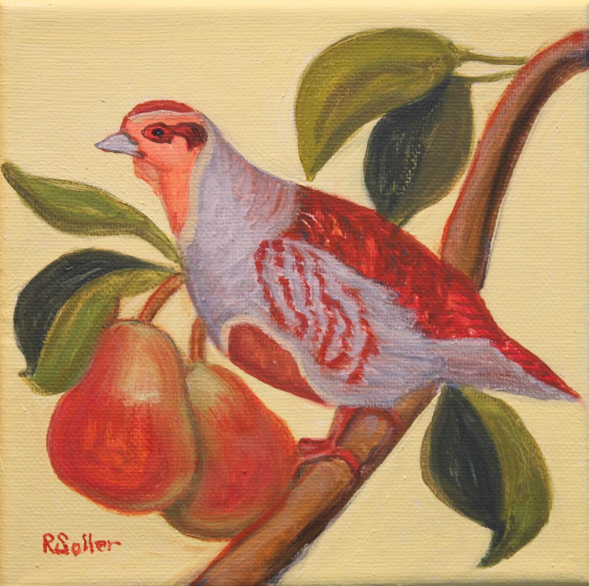 Partridge In Pear Tree – Wild Wings