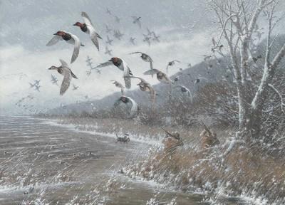Shop Hunting Art From Wild Wings