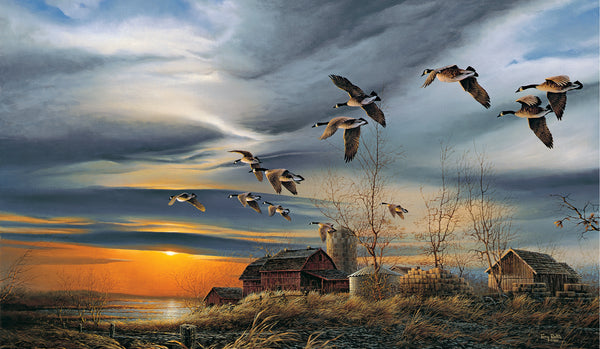 Silent Sunset - Encore Print Encore Print from Wild Wings