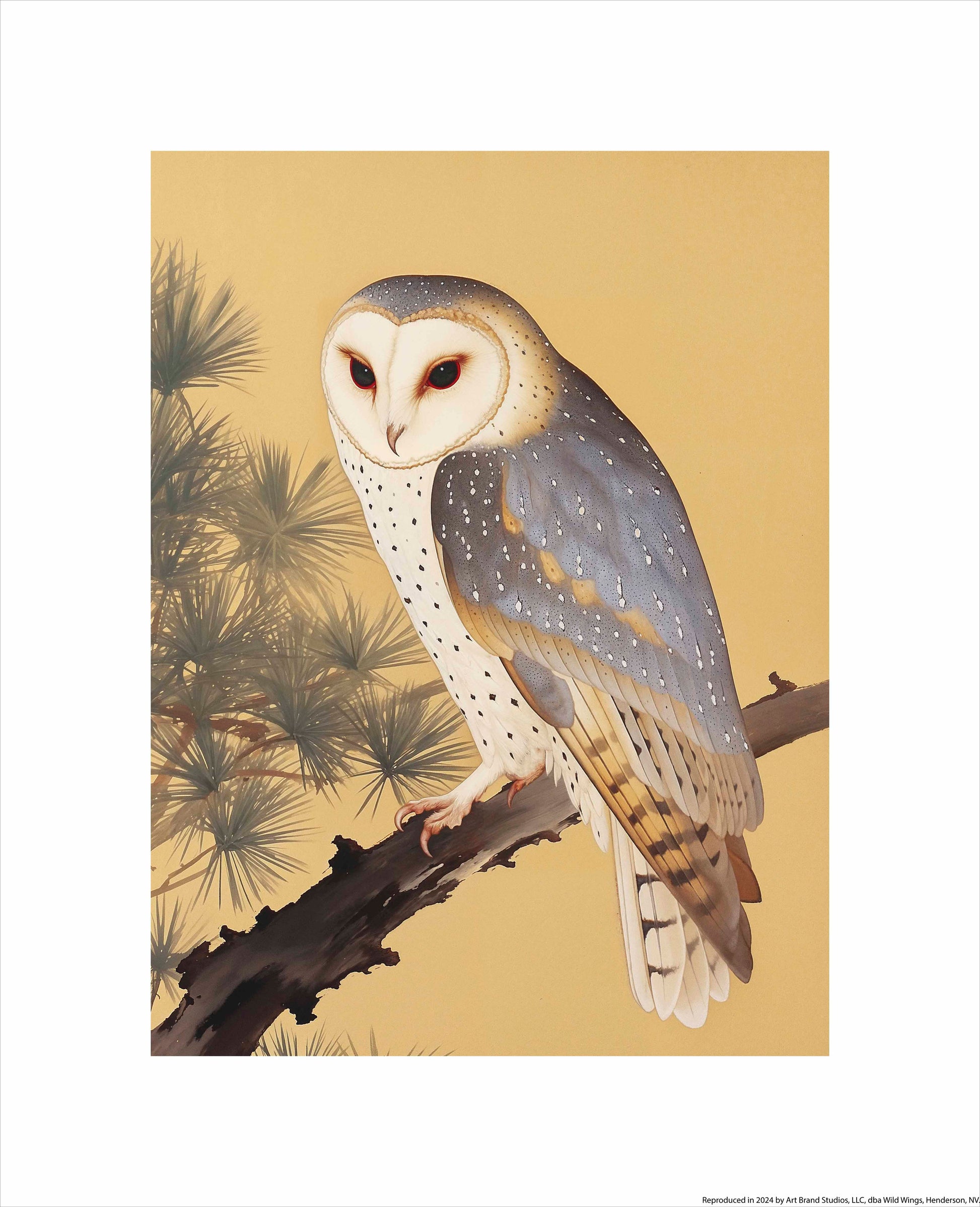 barn owl pictures to print