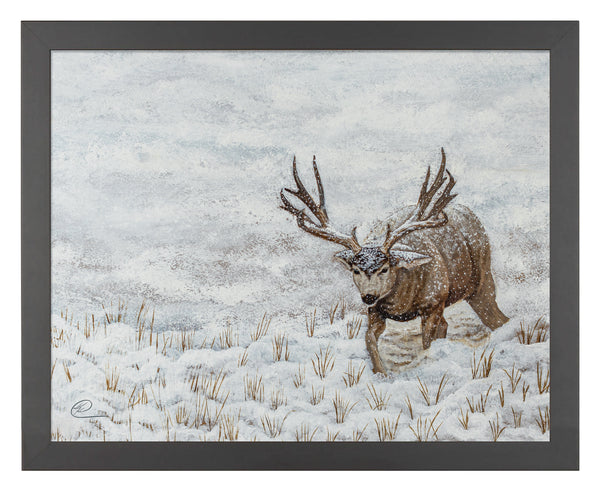 Snow Muley - Art Prints Art Prints from Wild Wings