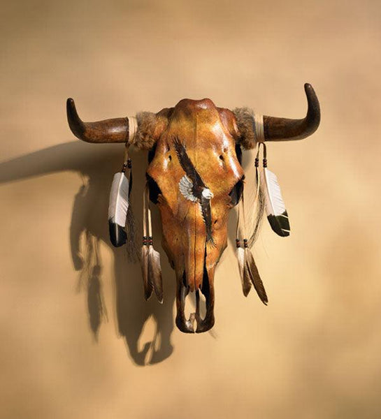 real bull skull wall decor