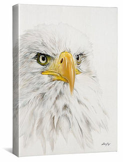 Bald Eagle Gallery Wrapped Canvas from Wild Wings