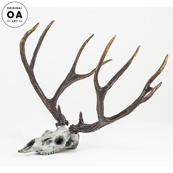 mule deer skull drawing